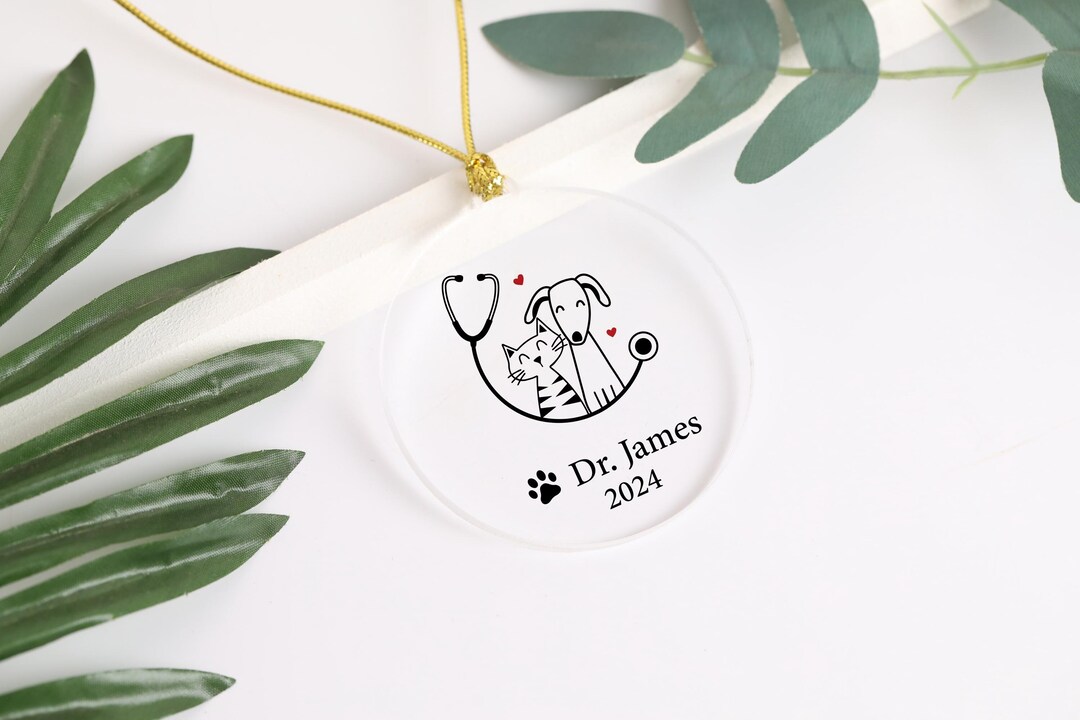 Veterinarian Christmas Ornament, Vet Keepsake, Dogs and Cats Doctor ...