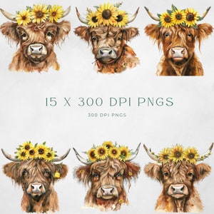 Watercolor Sunflower Highland Cows Collection Clipart | Digital ...