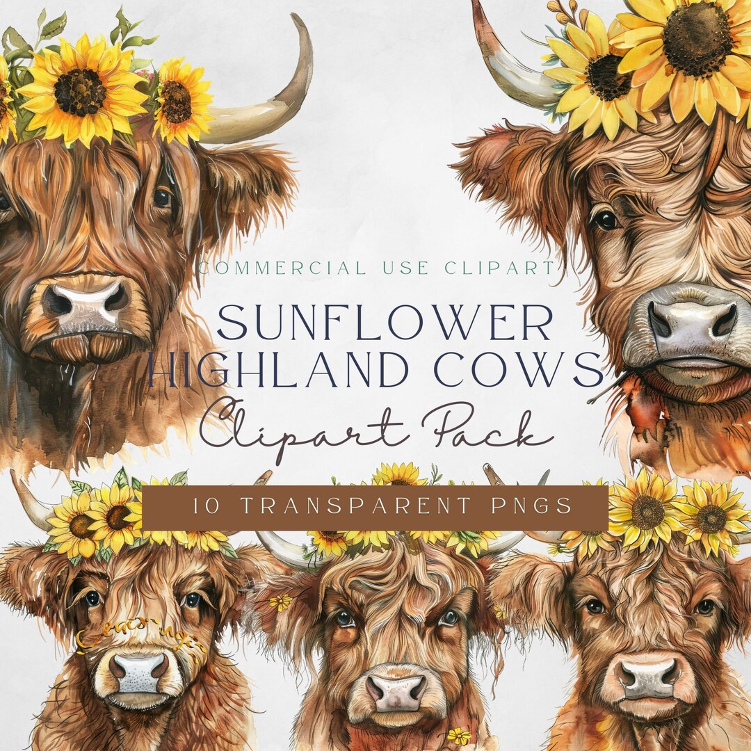 Watercolor Sunflower Highland Cows Collection Clipart | Digital ...