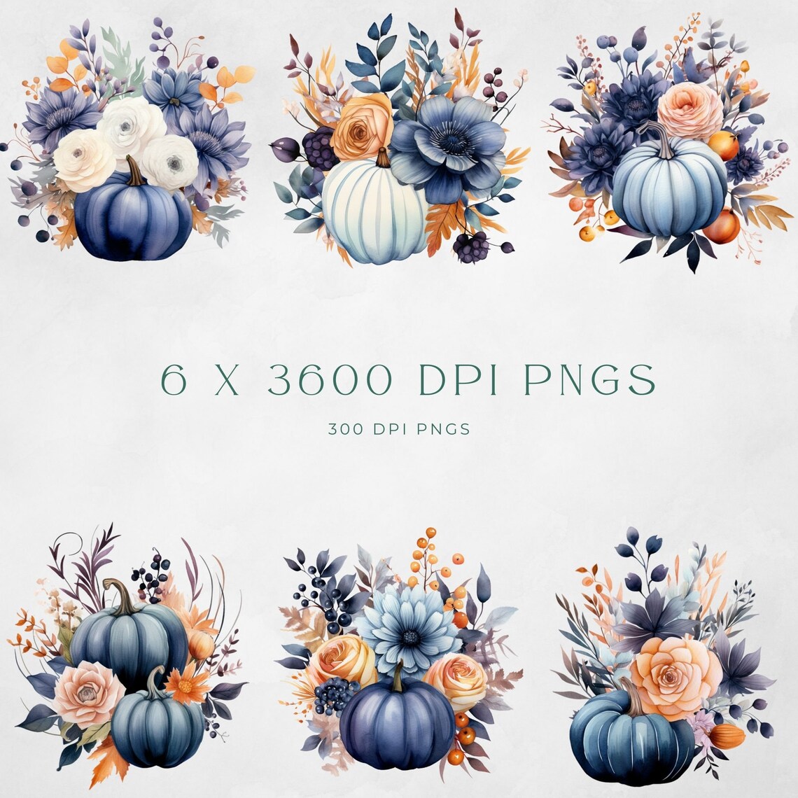 Boho Dark Blue Pumpkin Bouquet Clipart Watercolour, Transparent PNG ...