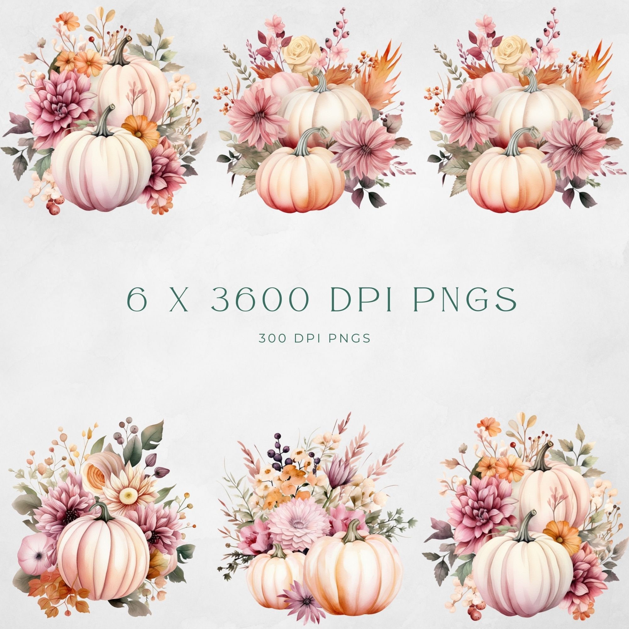 Boho Pink and White Pumpkin Bouquet Clipart Watercolour, Transparent ...