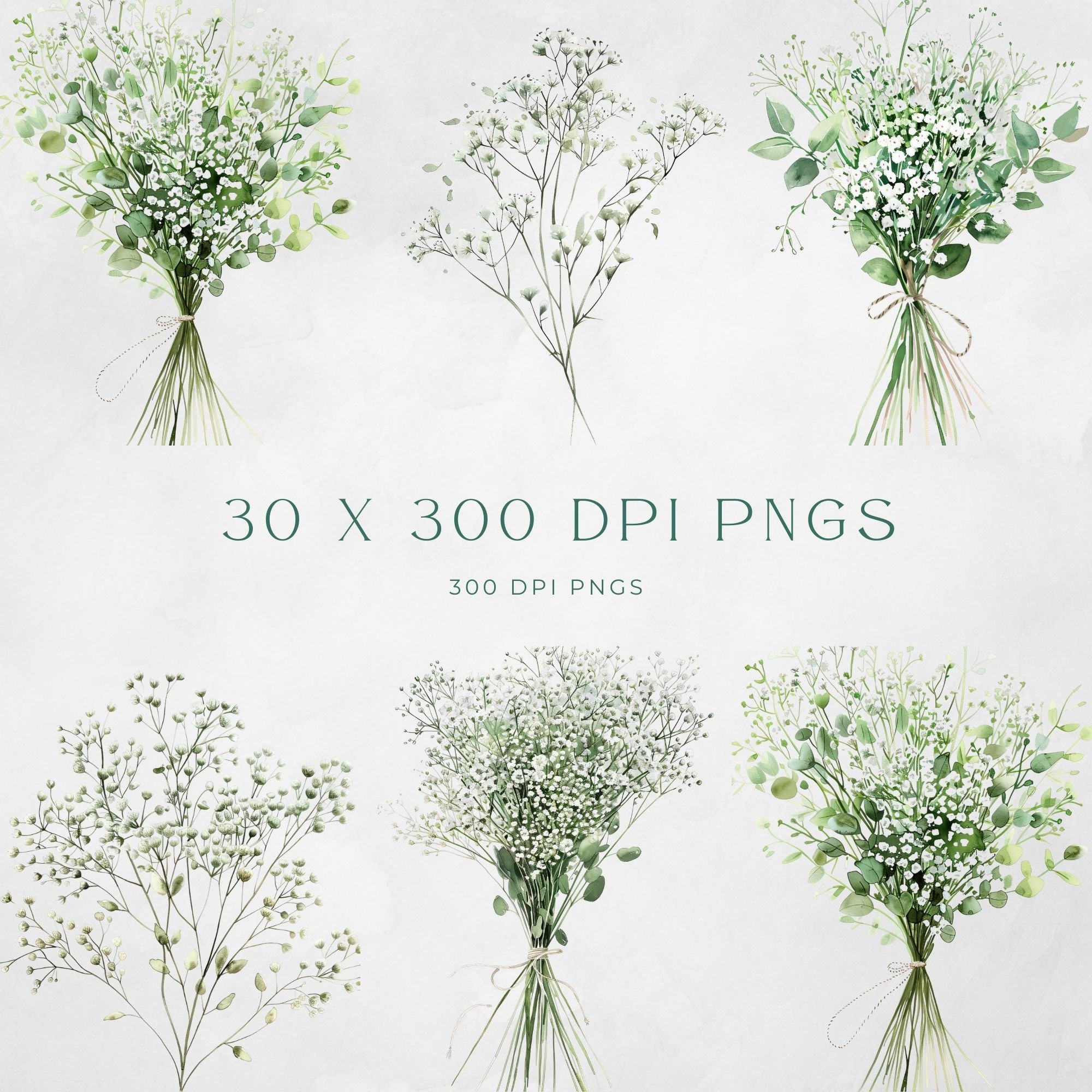 Baby Breath Floral Clipart Floral Clipart Wedding Invitation Clipart ...