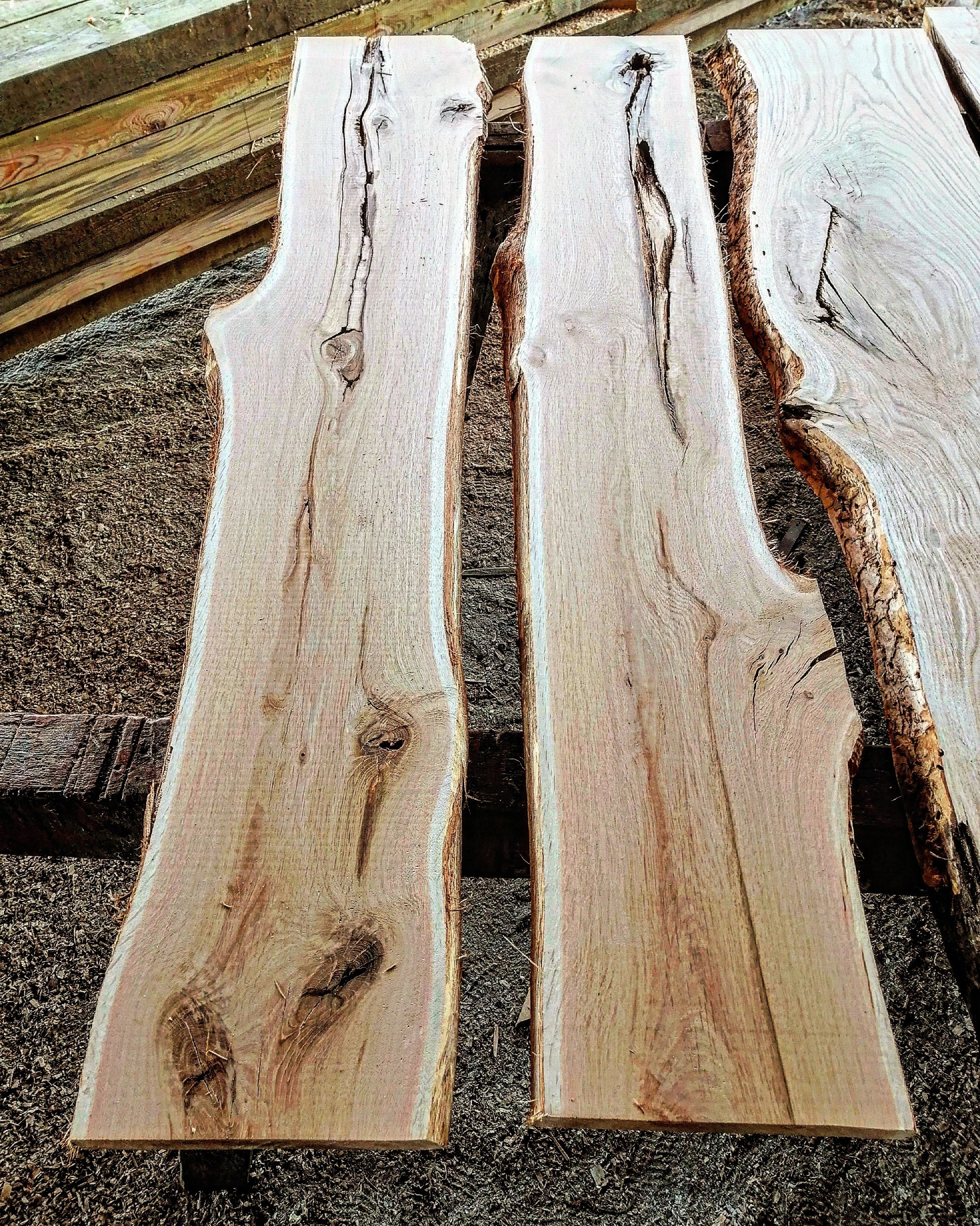 European Oak Wood Live Edge Slabs - Etsy