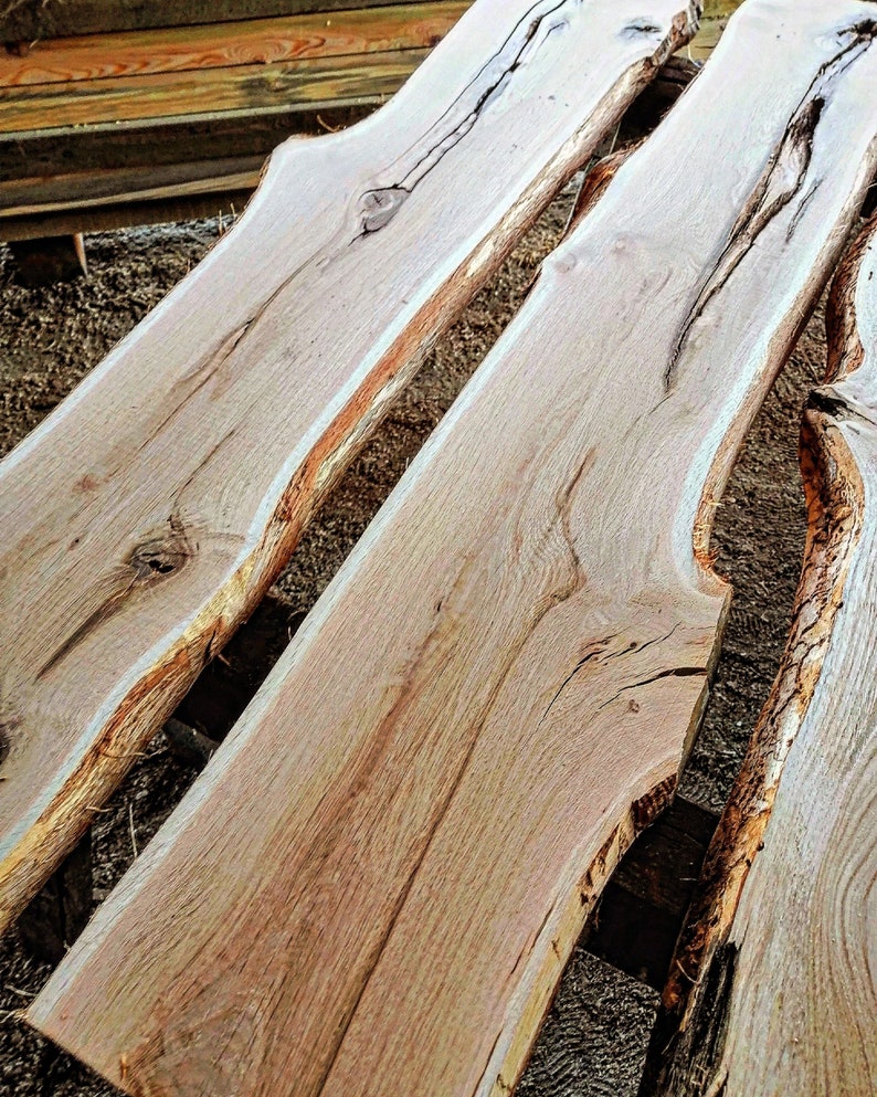 European Oak Wood Live Edge Slabs - Etsy