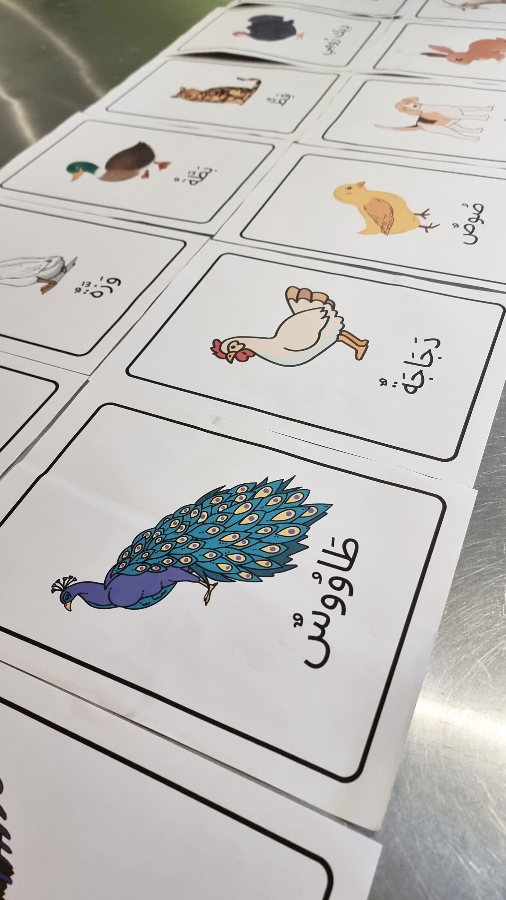 Learn Arabic Farm Animals Flashcards Pdf INSTANT DOWNLOAD School Home ...