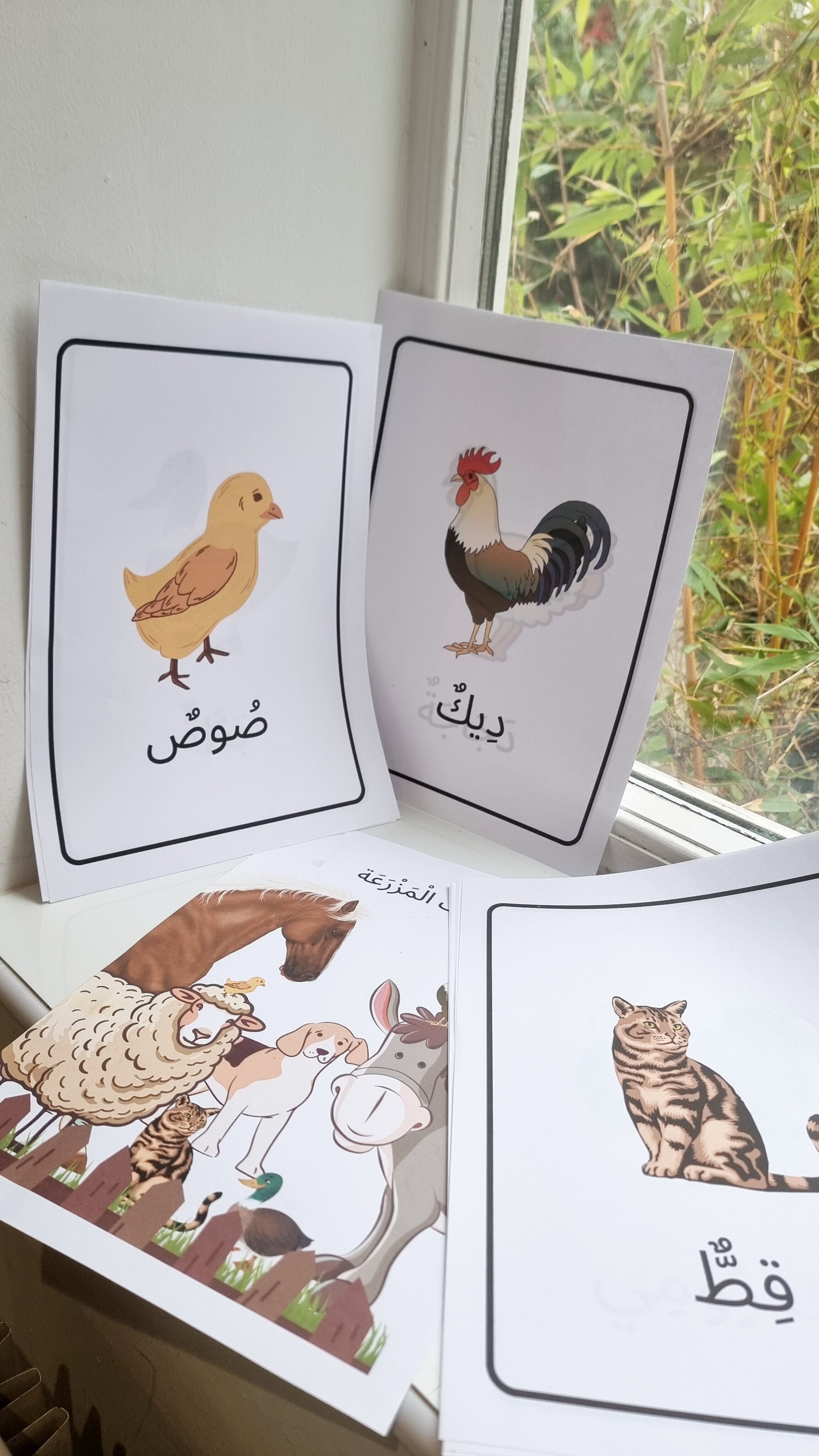 Learn Arabic Farm Animals Flashcards Pdf INSTANT DOWNLOAD School Home ...