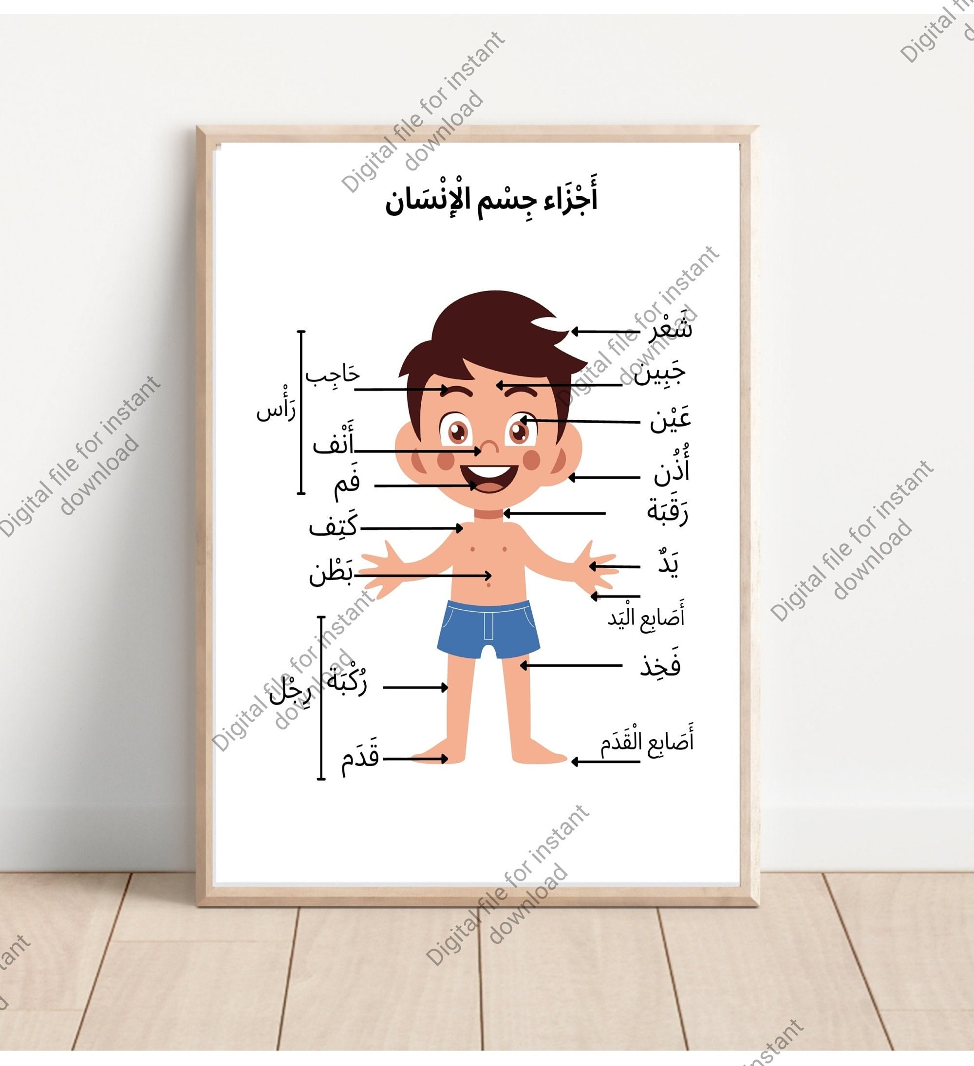 Learning Arabic Body Parts and Five Sences Instant Download Digital ...
