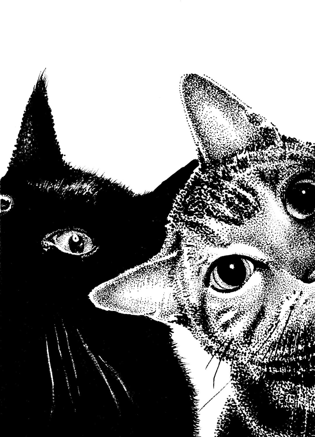 Two Cats Art Card Gift Birthday Card Animal Drawing Hand - Etsy
