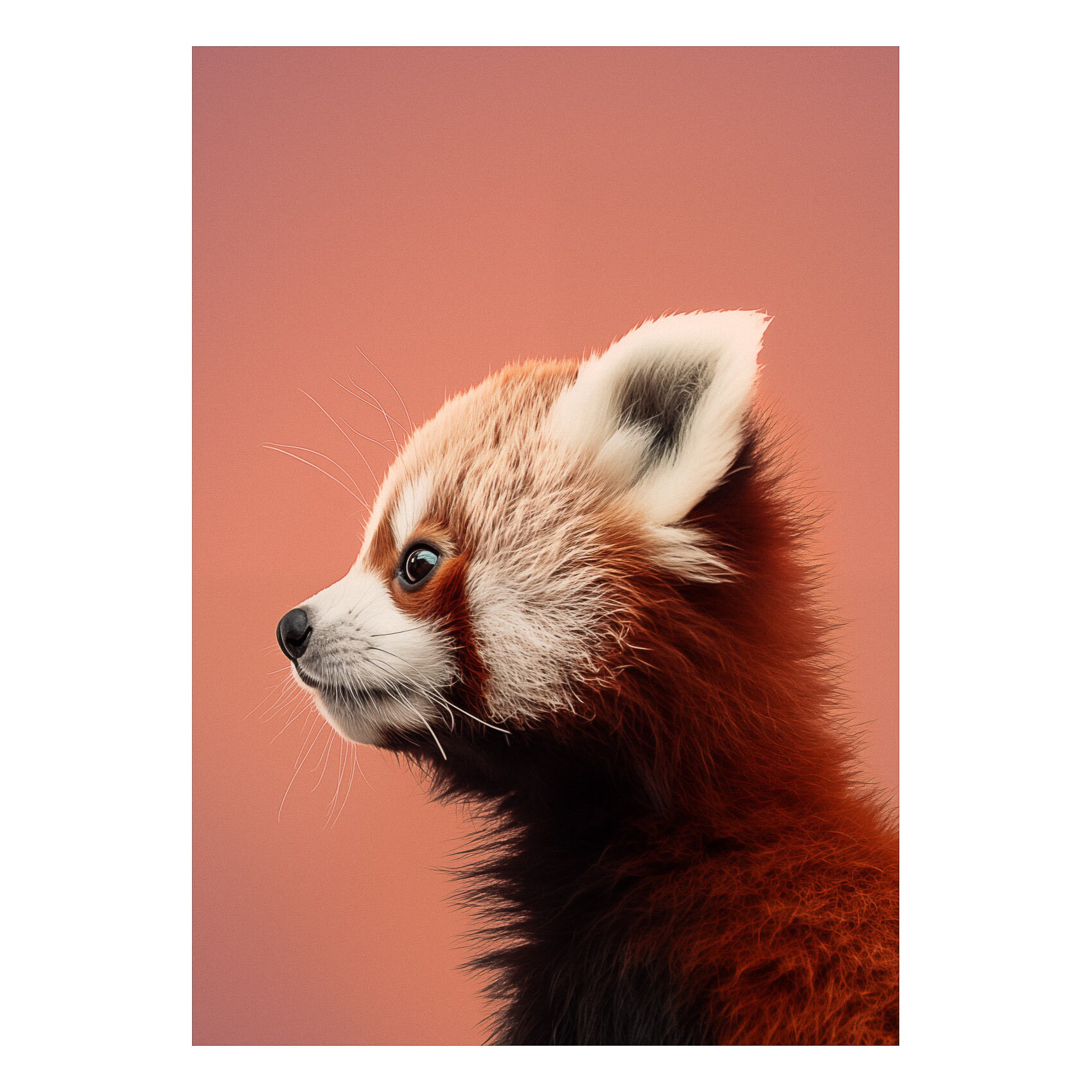 Red Panda Print Realistic, Striking & Unique Wildlife Animal Wall Art ...
