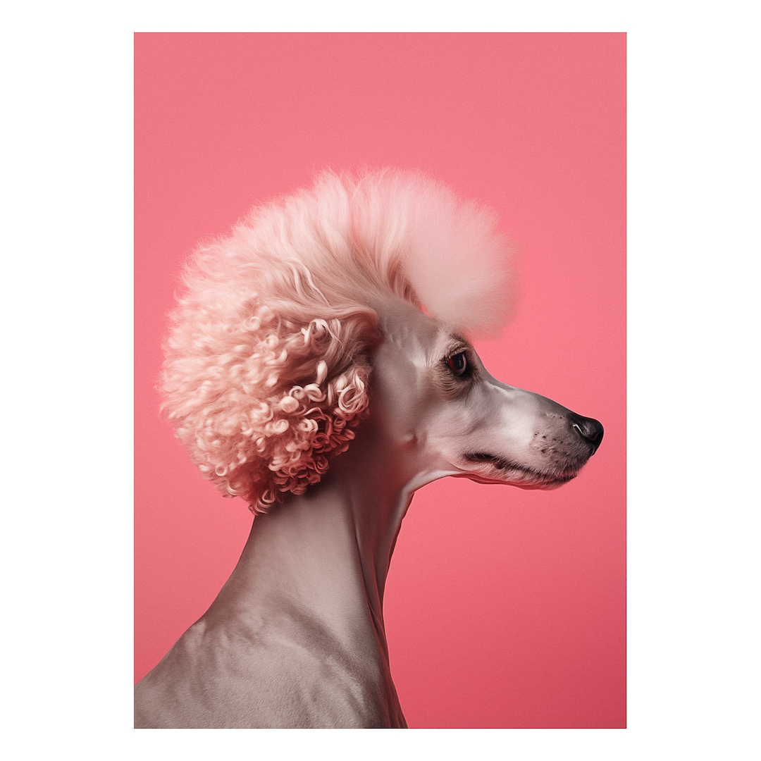Punk Poodle Artwork Digital Download - Realistic, Striking & Unique Dog ...