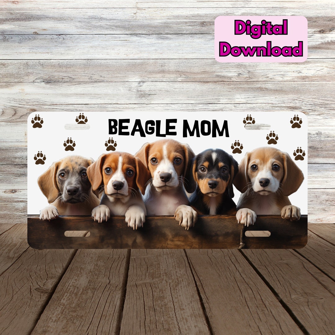 Beagle Mom License Plate Design PNG, Beagle License Plate Sublimation ...