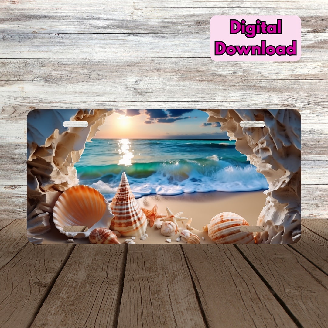 Cracked Wall Beach Sea Shell License Plate PNG, Island Beach License ...