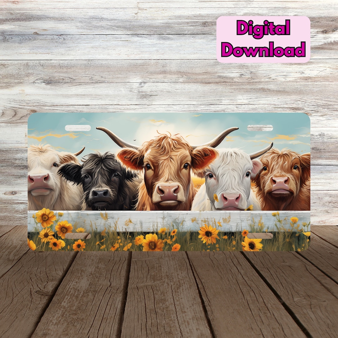 Highland Cow License Plate PNG, Highland Cows Sunflower Sublimation ...