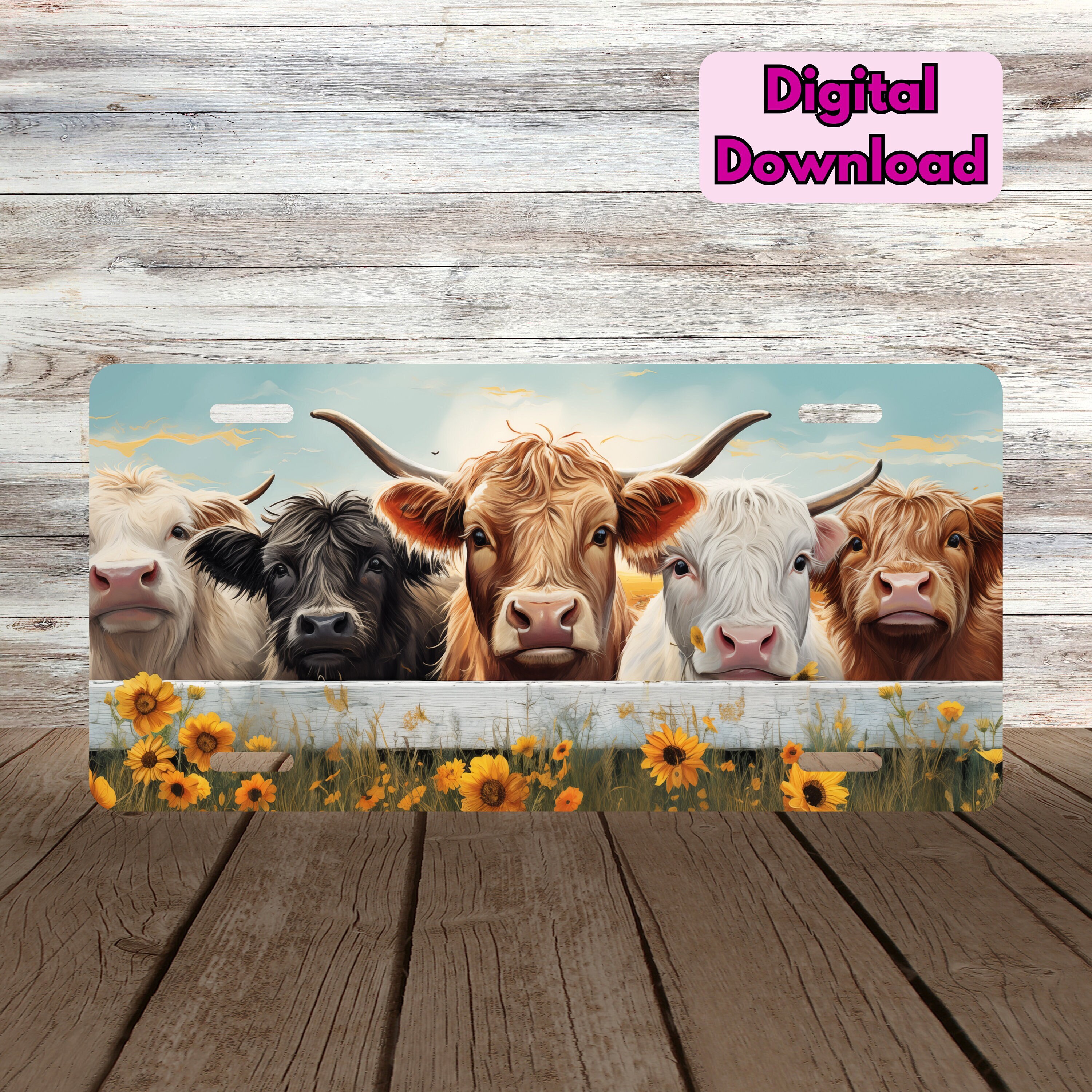 Highland Cow License Plate PNG Highland Cows Sunflower - Etsy
