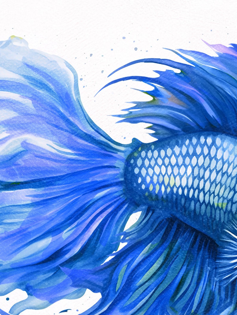 Betta Fish Art Print Watercolour Siamese Fighting Fish Painting ... Betta Fish Art Print Watercolour Siamese Fighting Fish Painting ...