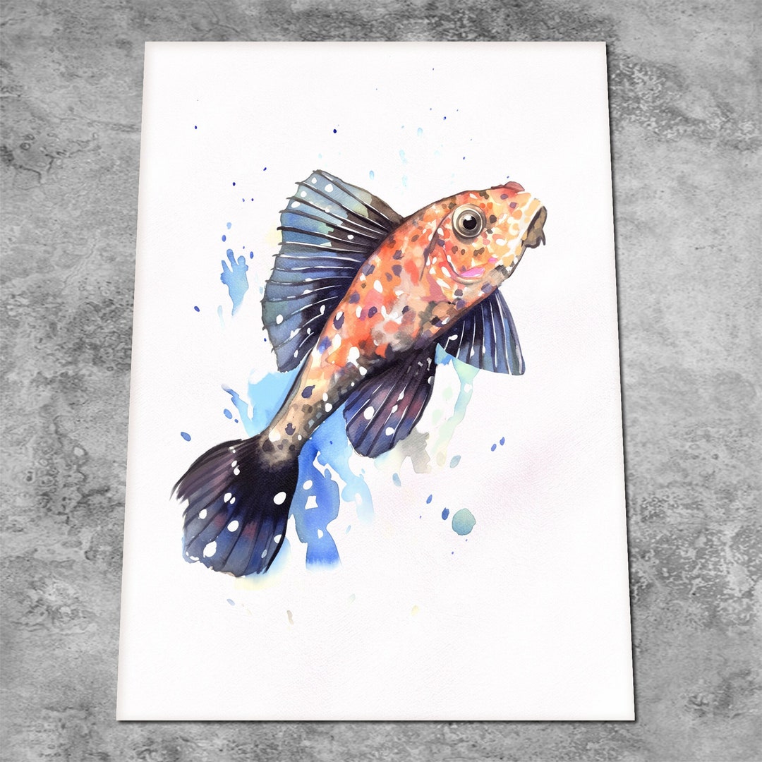 Pleco Art Print - Watercolour Plecostomus Painting - Catfish Tropical ...
