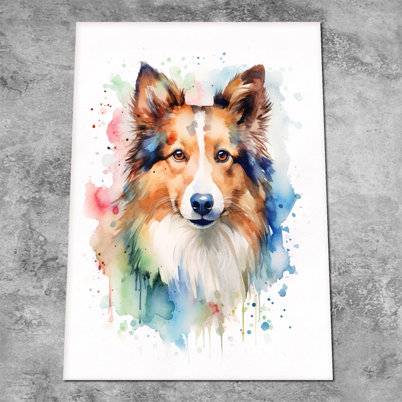 Sheltie Art - Etsy