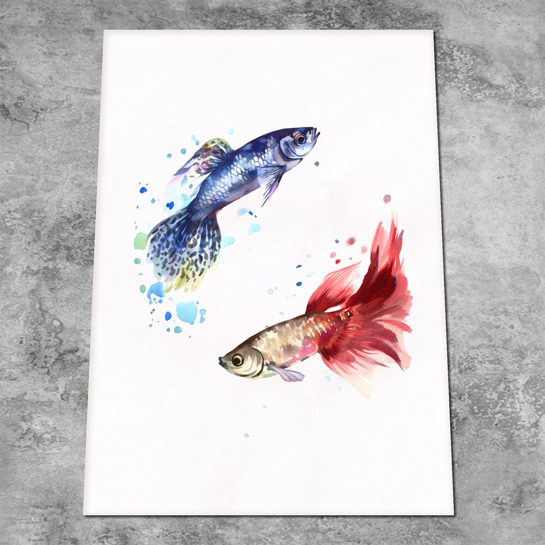 Male Guppy Art Print Watercolor Guppies Painting Tropical - Etsy