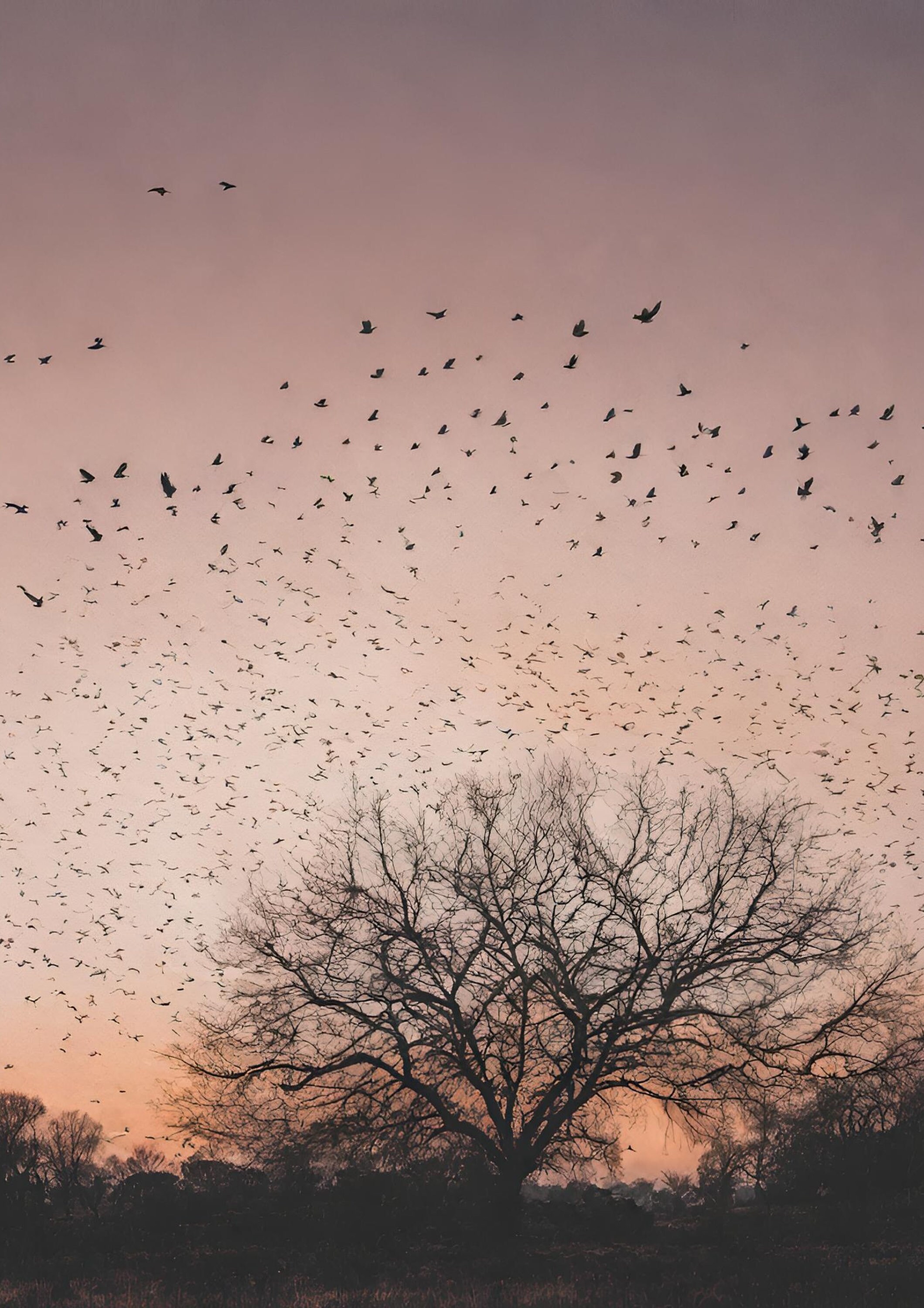 Digital BIRDS IN the SKY Wall Art for Home and Decor, Digital Poster ...