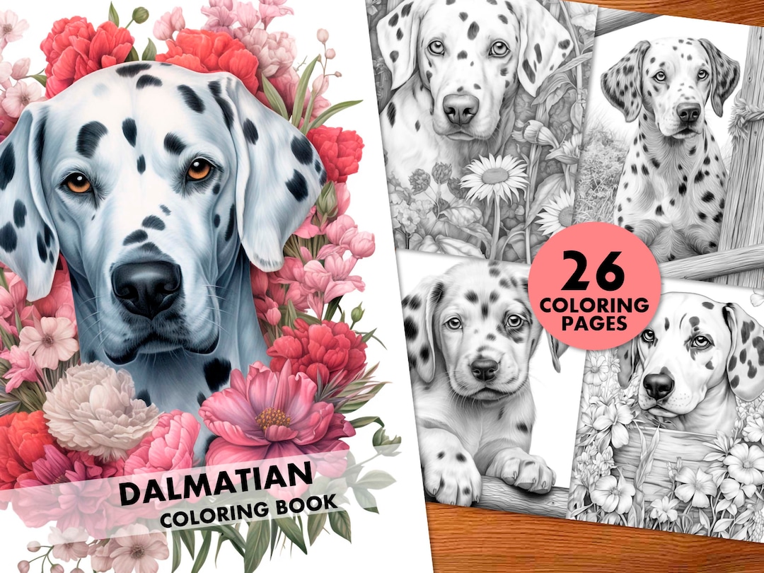 Dalmatian Coloring Pages, for Adults and Kids, Instant Download ...