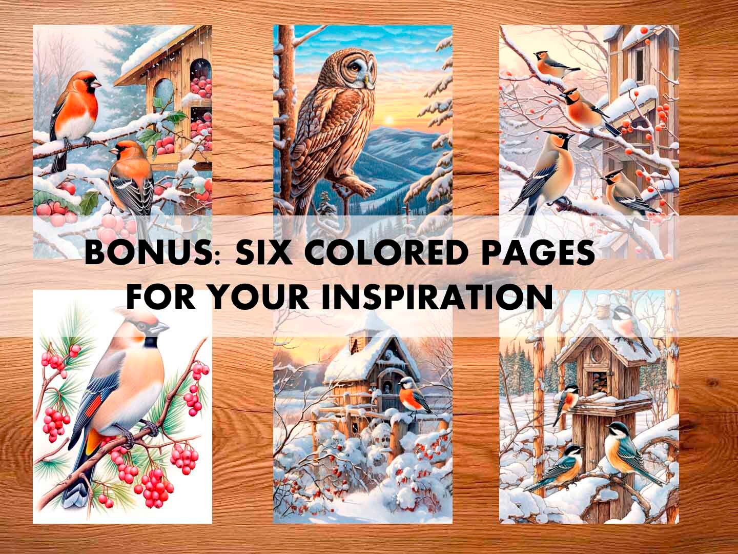 Winter Birds Coloring Pages, for Adults and Kids, Instant Download ...