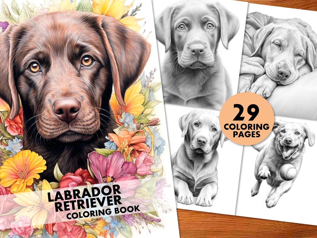Labrador Retriever Coloring Pages, for Adults and Kids, Instant ...