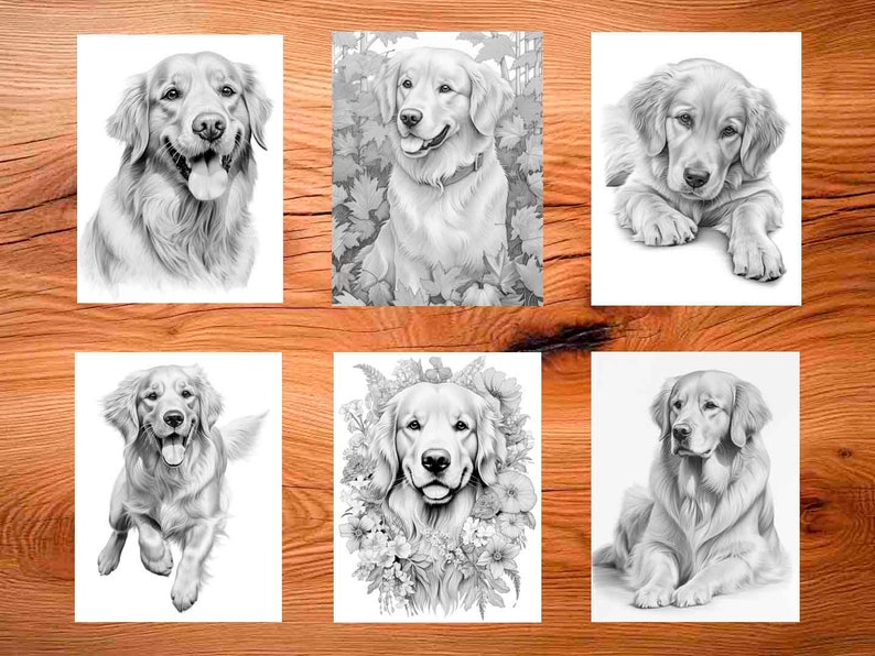 Golden Retriever Coloring Pages, for Adults and Kids, Instant Download ...