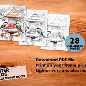Winter Birds Coloring Pages, for Adults and Kids, Instant Download ...