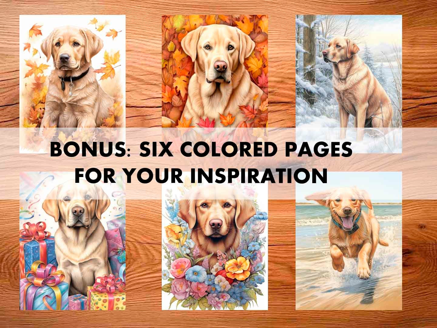 Labrador Retriever Coloring Pages for Adults and Kids - Etsy