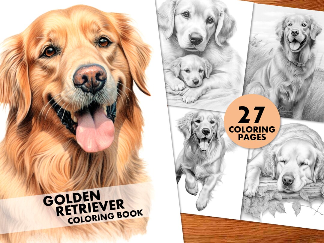 Golden Retriever Coloring Pages, for Adults and Kids, Instant Download ...