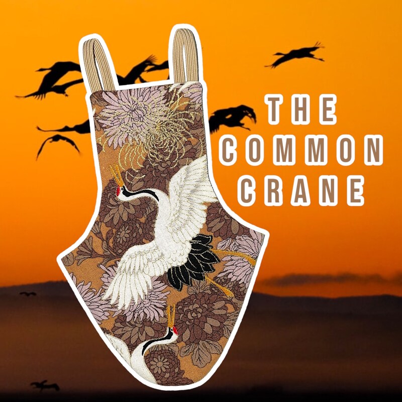 Bird Flight Suit - Etsy