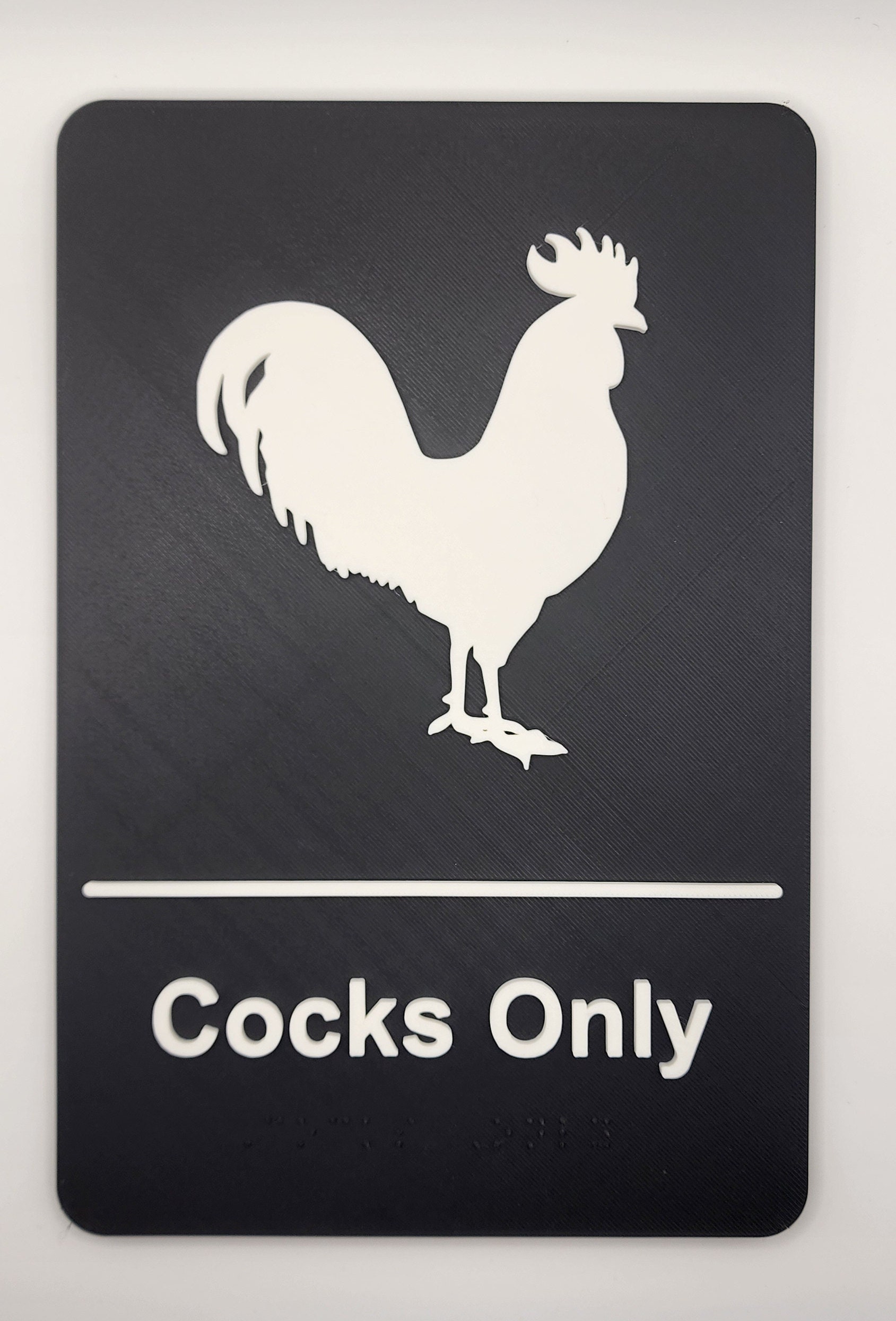 Humorous Chicken Coop and Bathroom Signs - Customizable, Colorful ...