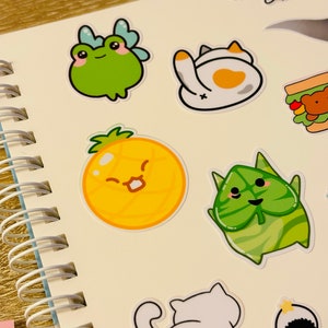 Reusable Sticker Book Cute Sticker Album for Loved and Unused Sticker ...