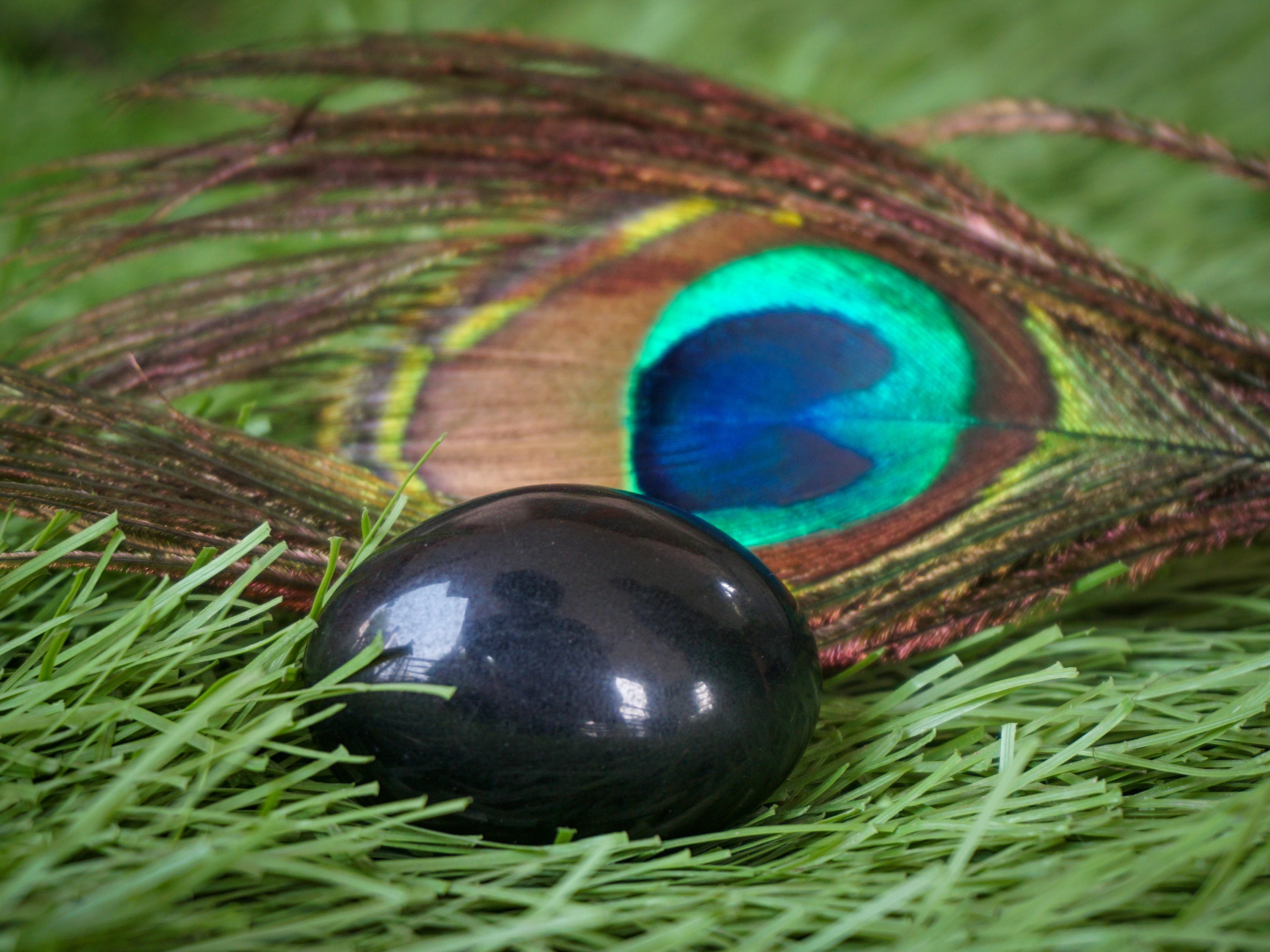 Laddu Gopal Shaligram, Saligram Stone Gandaki River Nepal, Religious ...