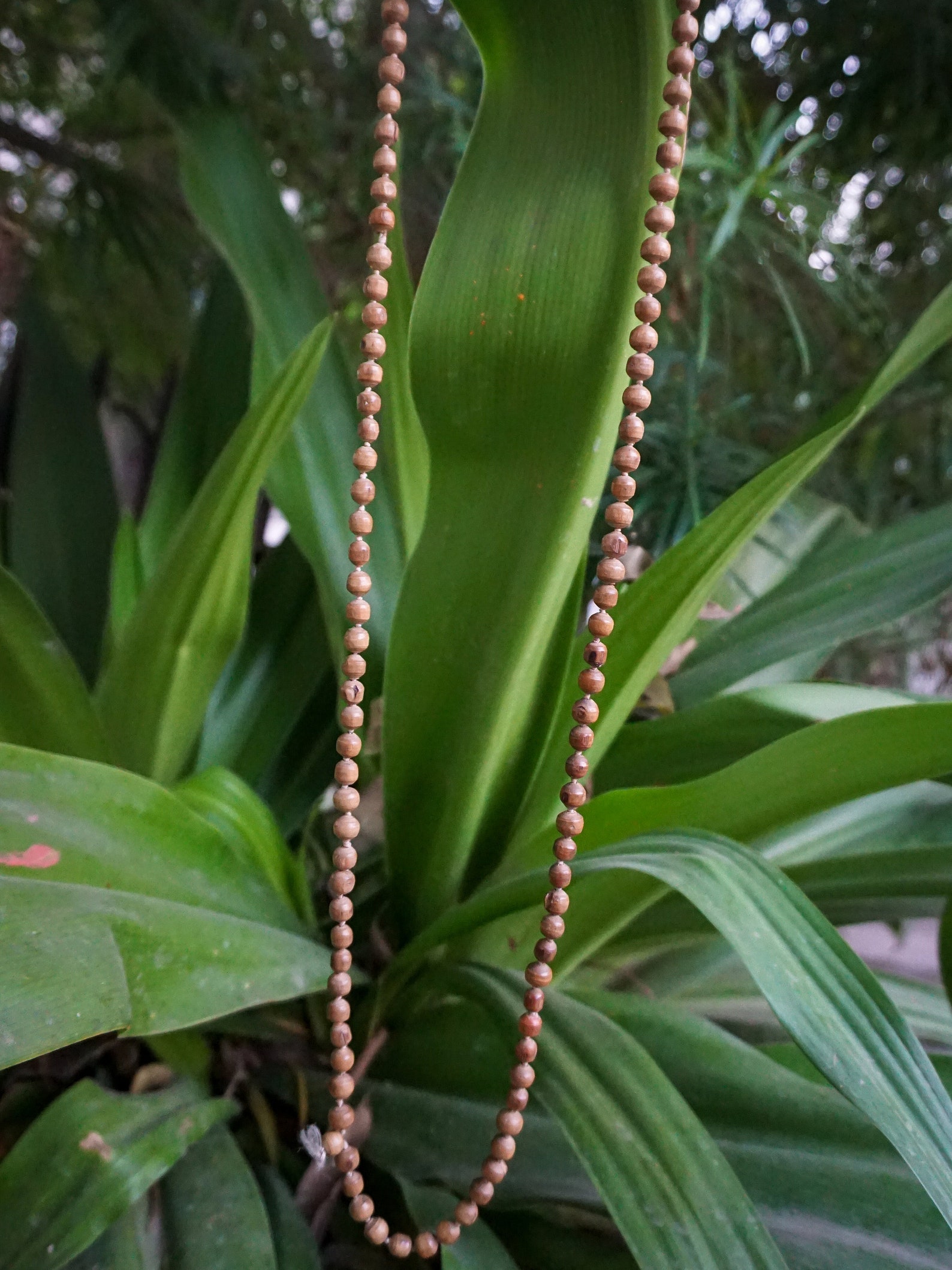 100% Natural Handmade 108 Beads Tulsi Jaap Mala, Tulasi Beads Rosary ...