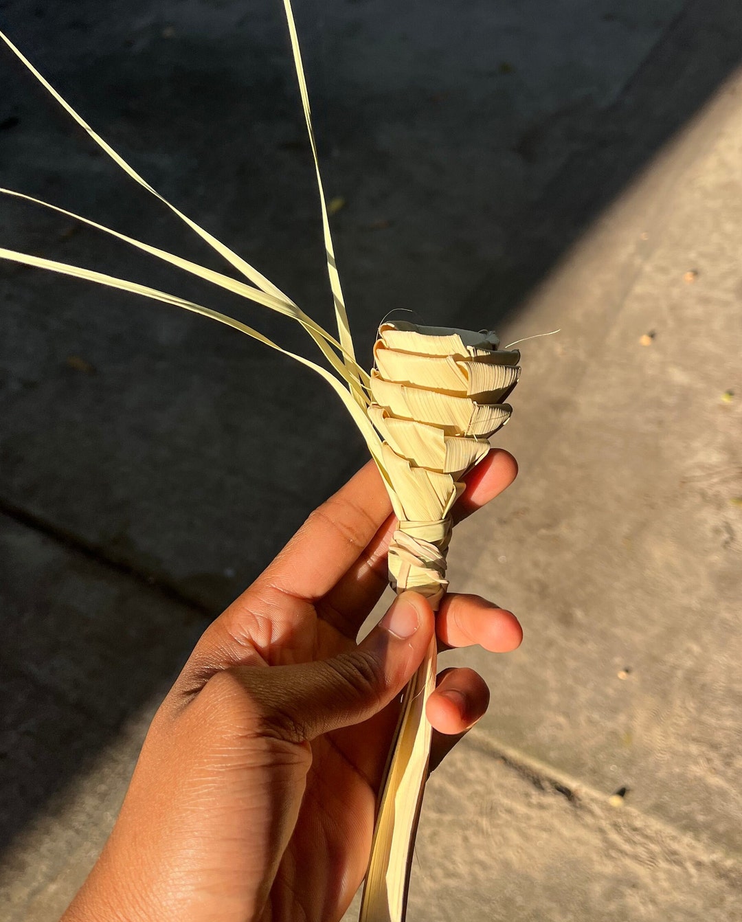 Dried Palmetto Roses 3 - Etsy