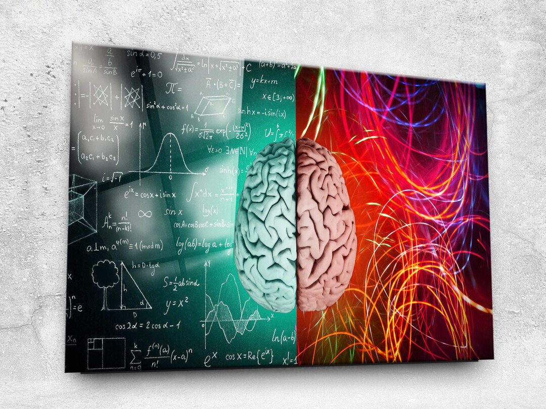 Brain Anatomy Art,tempered Glass Science Wall Decor, Psychology Wall ...