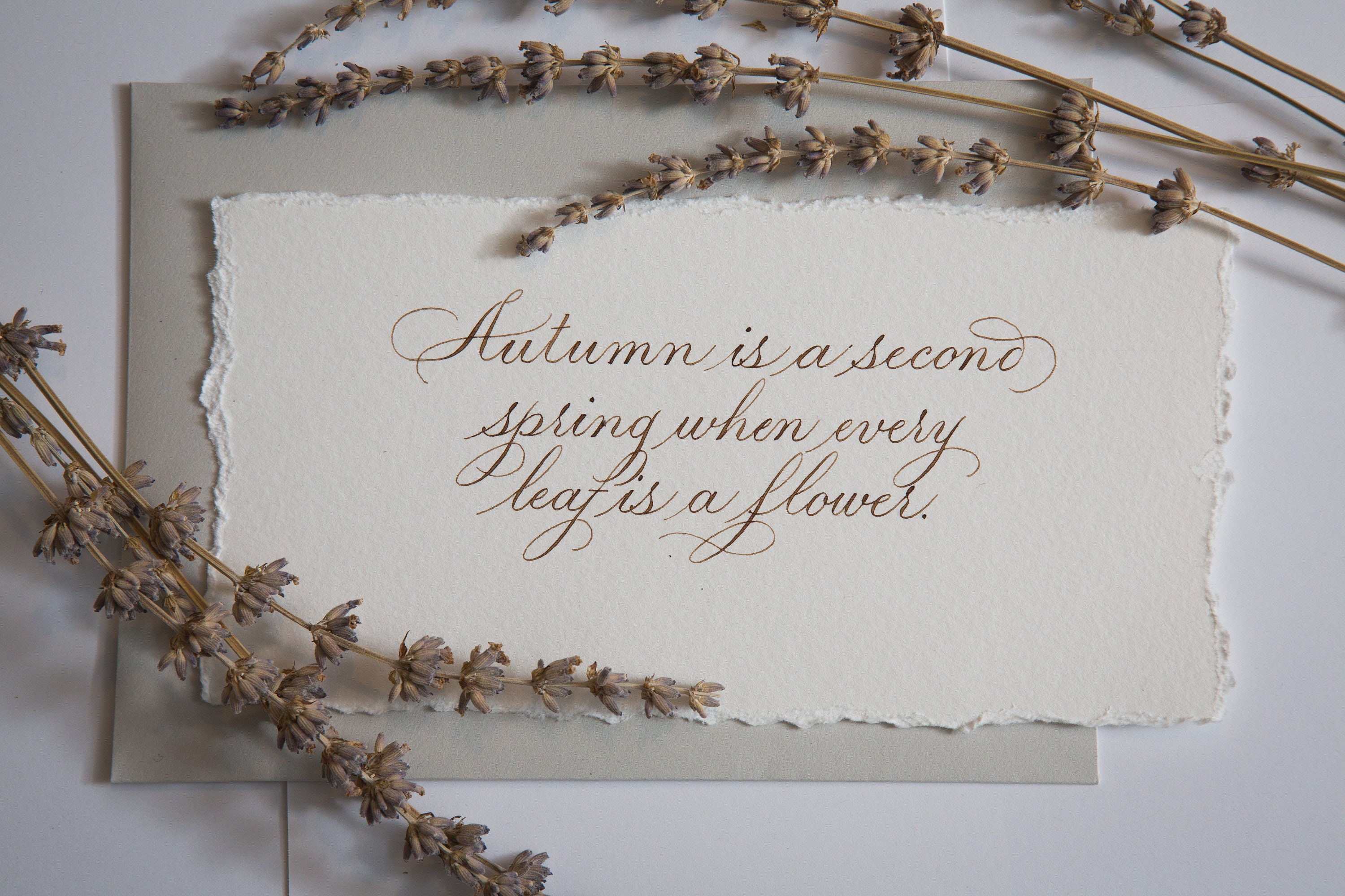 Custom Handwritten Copperplate Calligraphy Quote Bible - Etsy