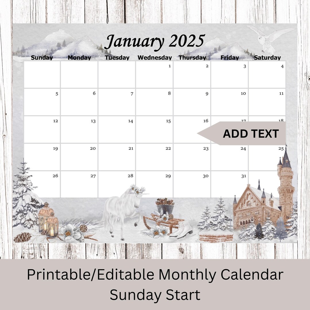 EDITABLE January 2025 Calendar, New Year Planner, Printable Monthly ...