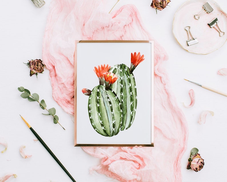 Watercolor Cactus Clipart Tropical PNG Flowers Clipart Desert Cactus ...