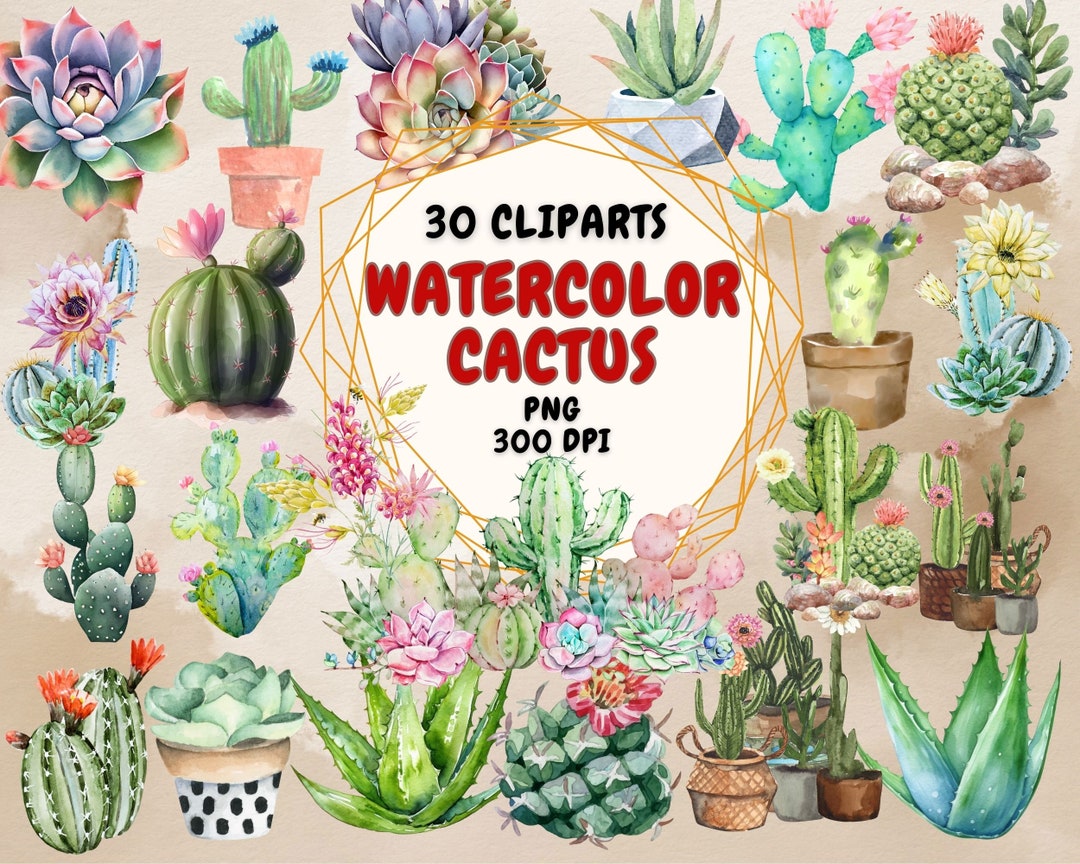 Watercolor Cactus Clipart Tropical PNG Flowers Clipart Desert Cactus ...