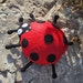 Felt Ladybug PDF Pattern - PDF Sewing Pattern + Tutorial Step by Step ...
