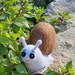 Felt Snail PDF Pattern - PDF Sewing Pattern + Tutorial Step by Step ...