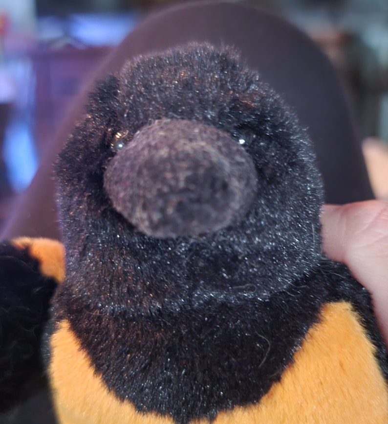 Webkinz Ganz Oriole Lil' Kinz WITH Code - Etsy