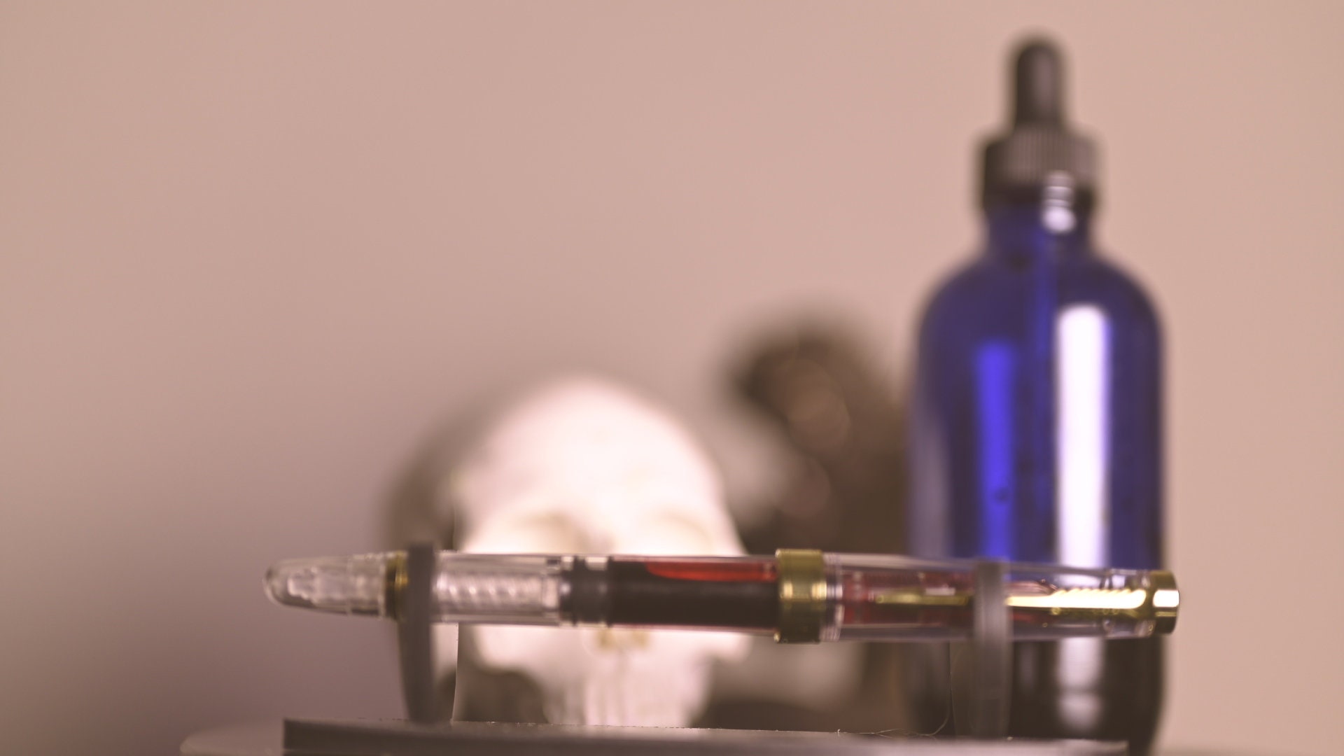 Dragon's Blood Fountain Pen - Etsy