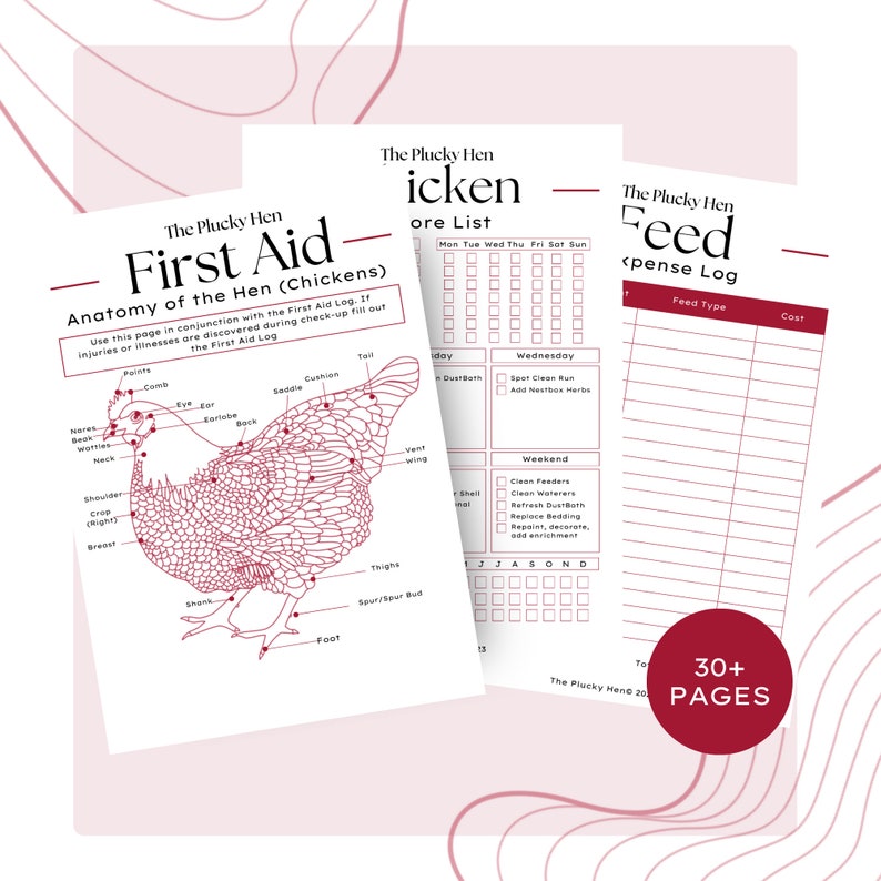 The Ultimate Chicken Keepers Bundle - Etsy