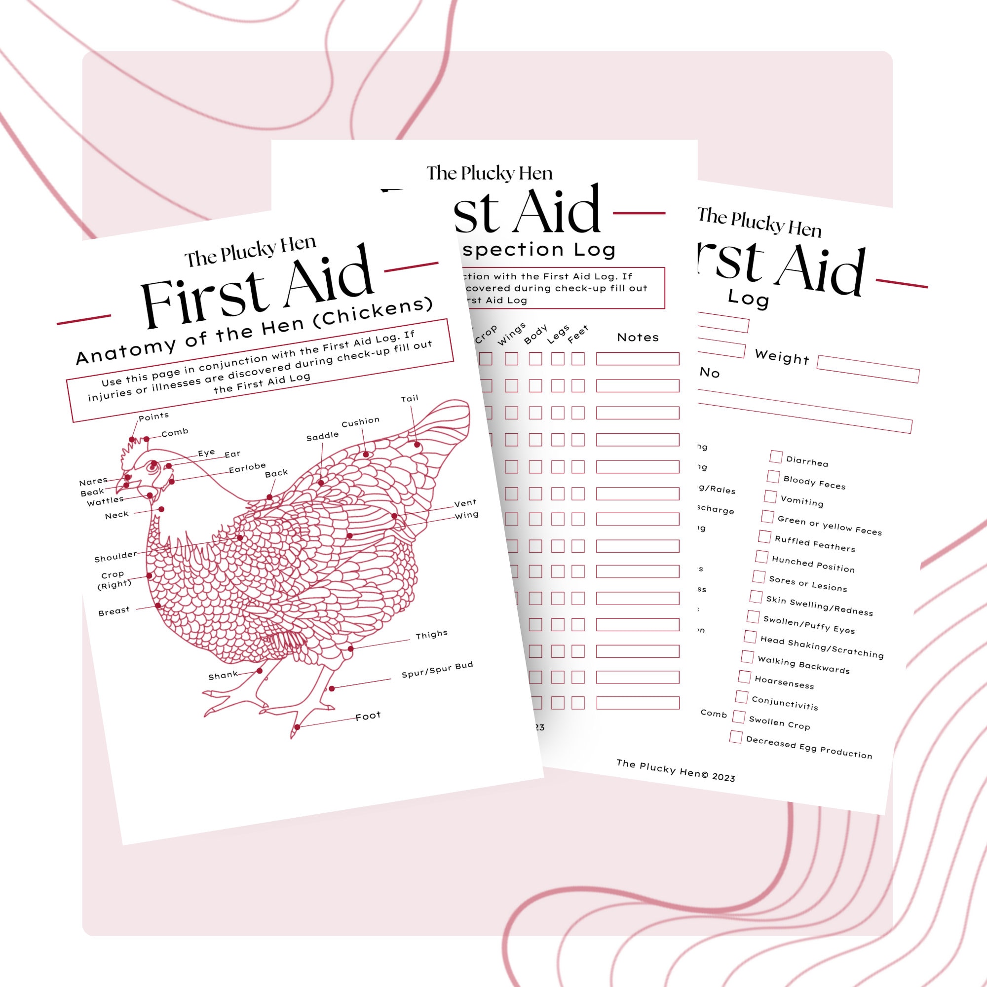Chicken First Aid Log - Etsy
