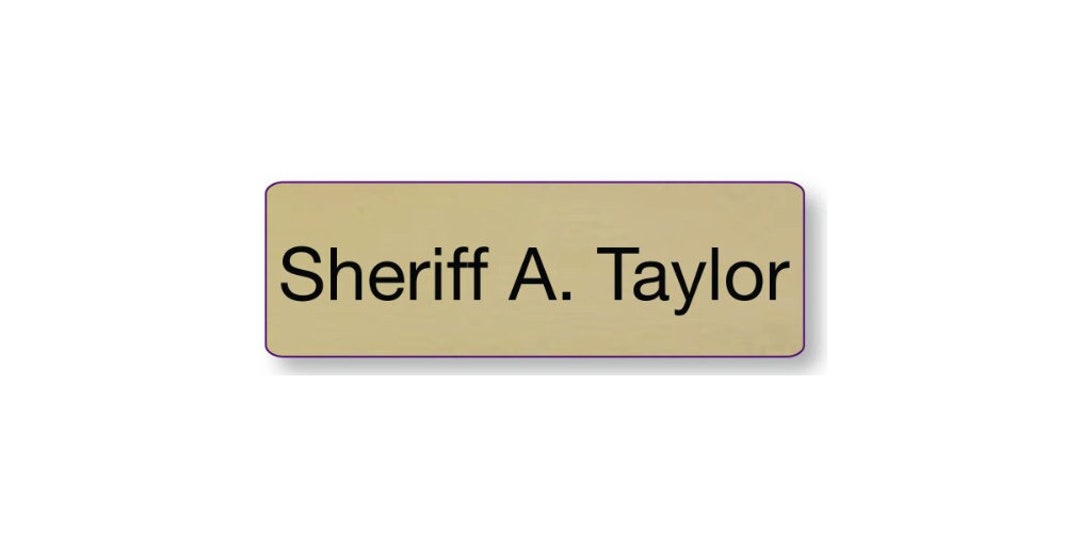 ANDY GRIFFITH SHOW Sheriff Andy Taylor Halloween Costume Name Badge ...