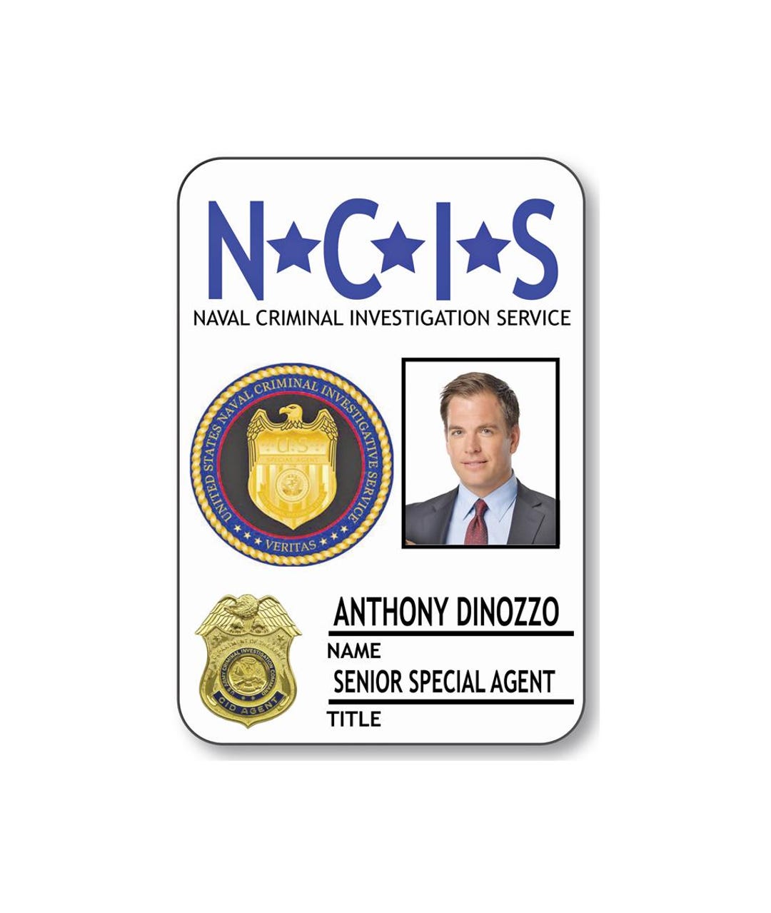 NCIS ANTHONY DINOZZO Sr Special Agent Halloween Costume or Cosplay Name ...