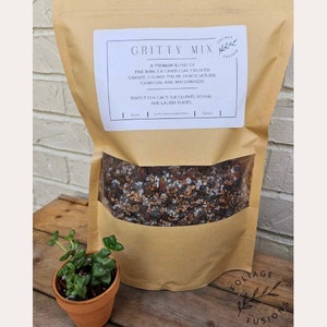 Gritty Mix 8 Cups - a Premium Potting Mix for Cacti, Succulents, Bonsai ...